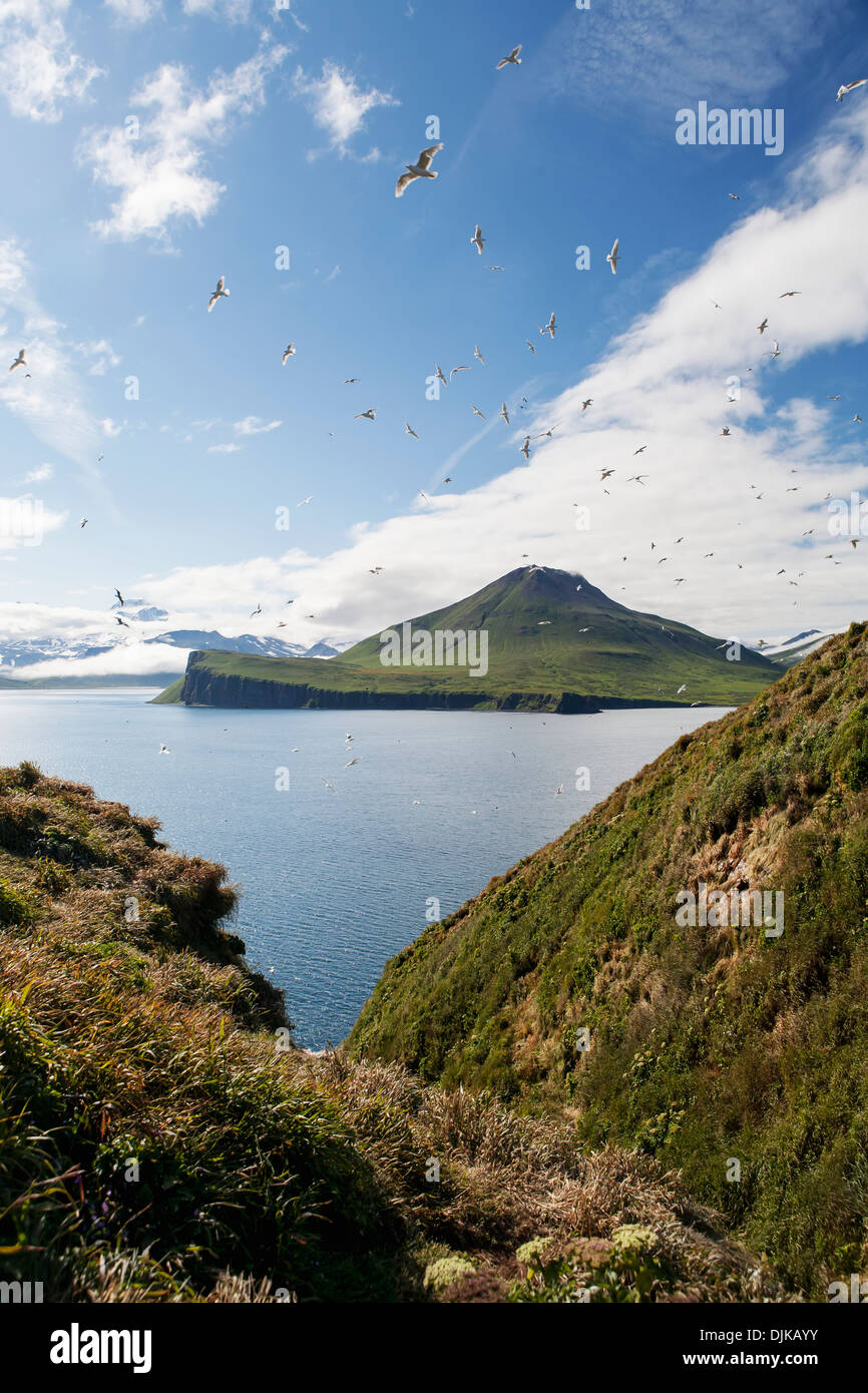 Palisade Cliffs And Sentinel Peak From Sankin Island, Ikatan Bay ...
