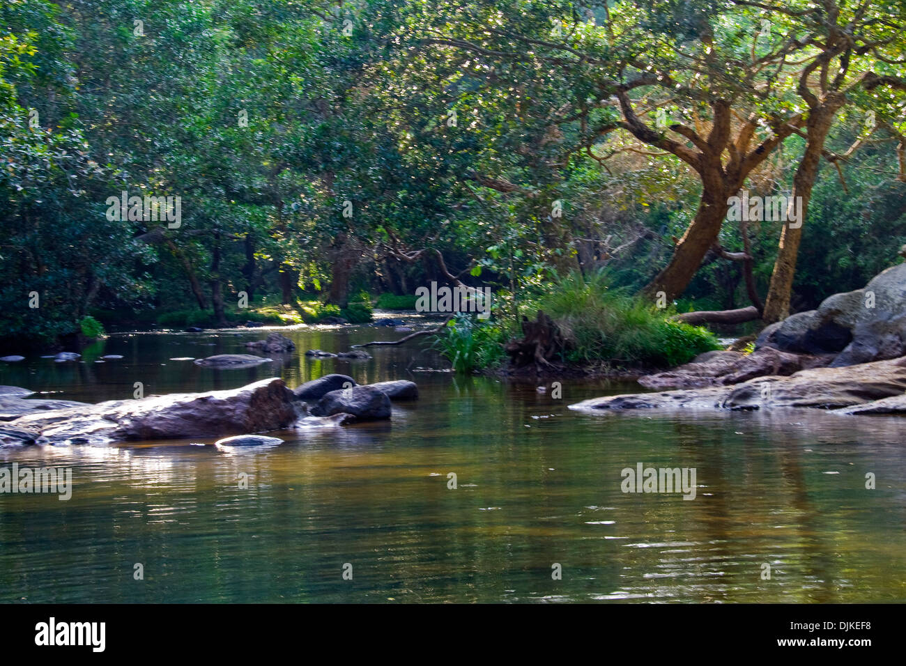 Cauvery nisargadhama hi-res stock photography and images - Alamy