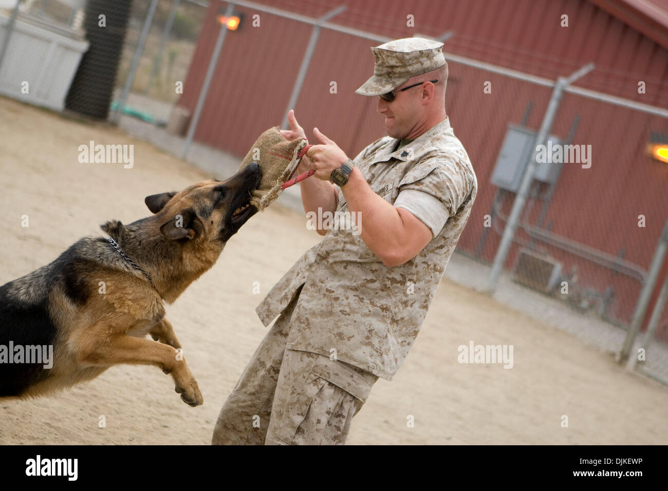 Sep. 05, 2010 - San Diego, California, USA - The K-9 Military Working ...