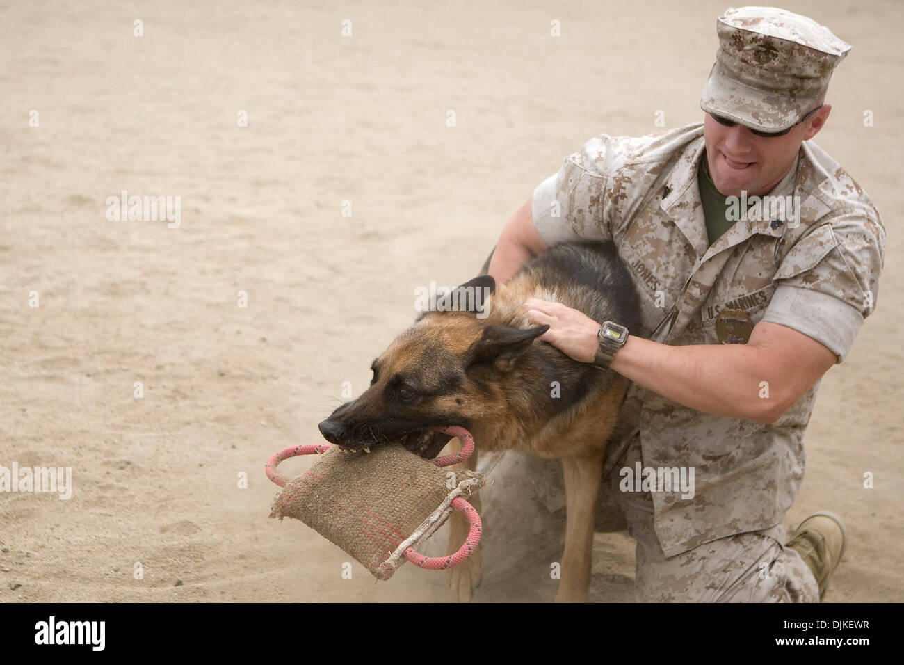 Narcotics dogs hi-res stock photography and images - Alamy