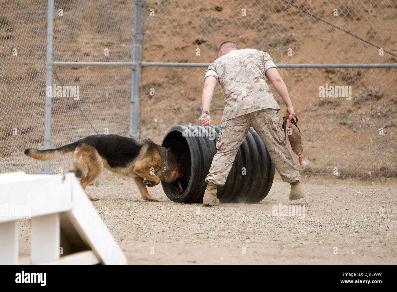 Sep. 05, 2010 - San Diego, California, USA - The K-9 Military Working ...