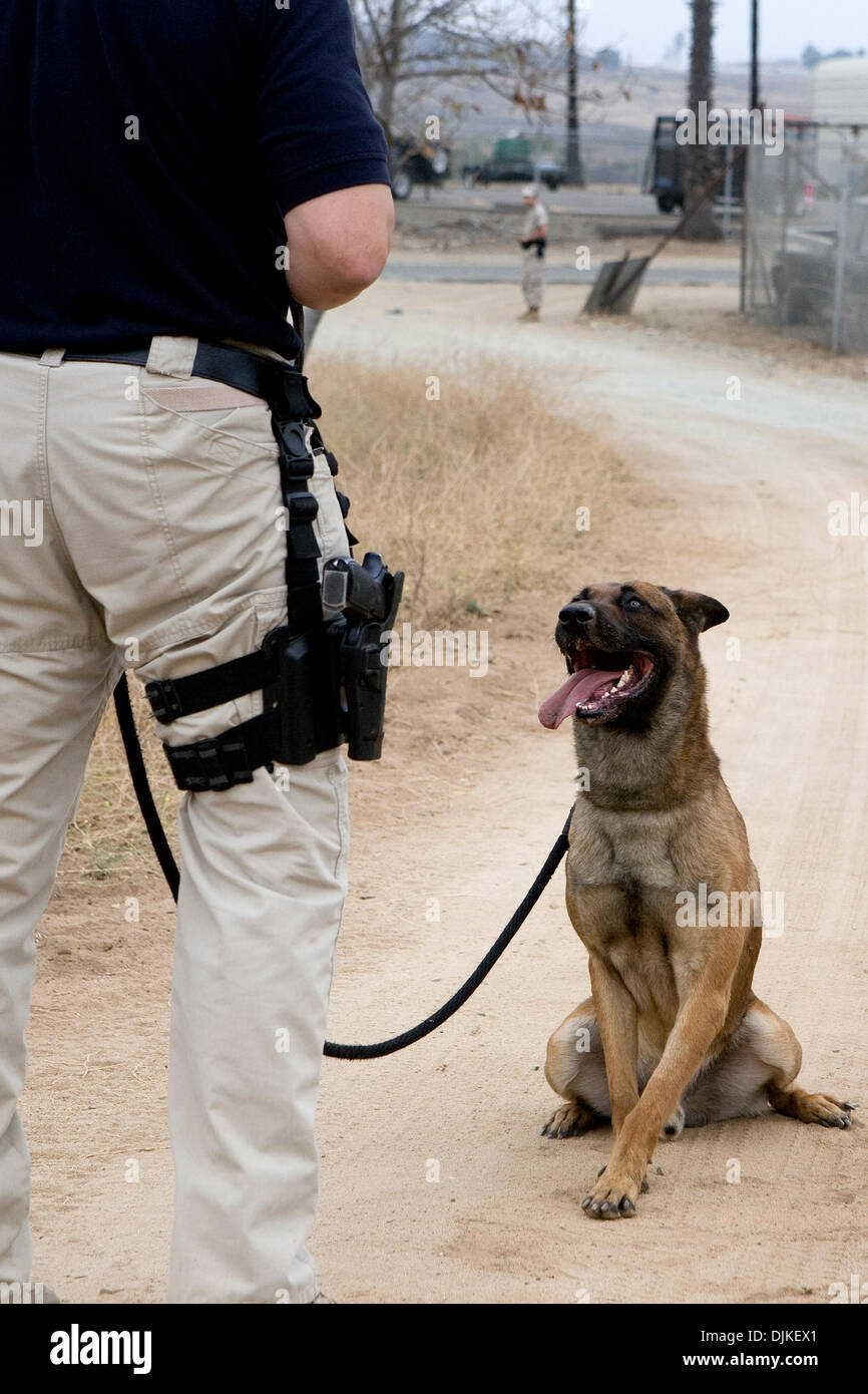 Military working dog trains hi-res stock photography and images - Alamy