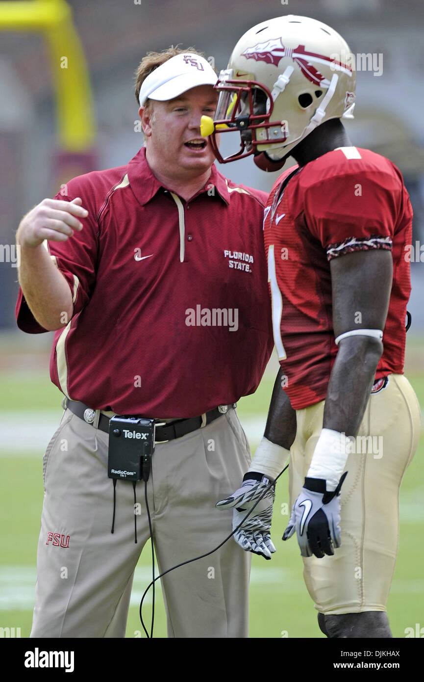 Florida state coaching staff hi-res stock photography and images - Alamy