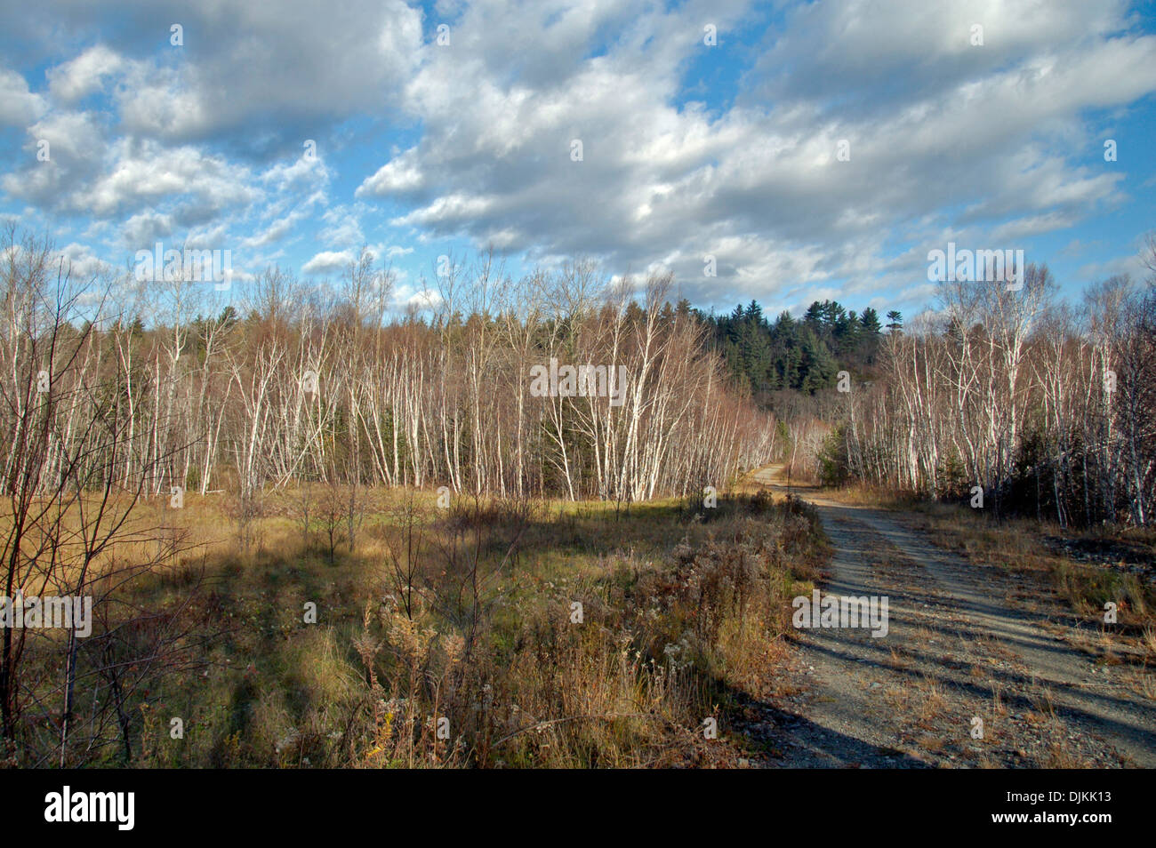 Scenic nature shot in Northern Ontario Stock Photo - Alamy
