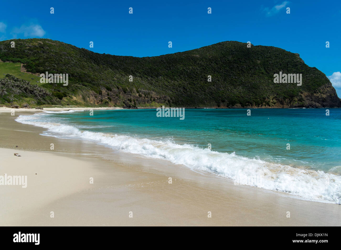 Ned's Beach at Lord Howe Island, Australia Stock Photo - Alamy