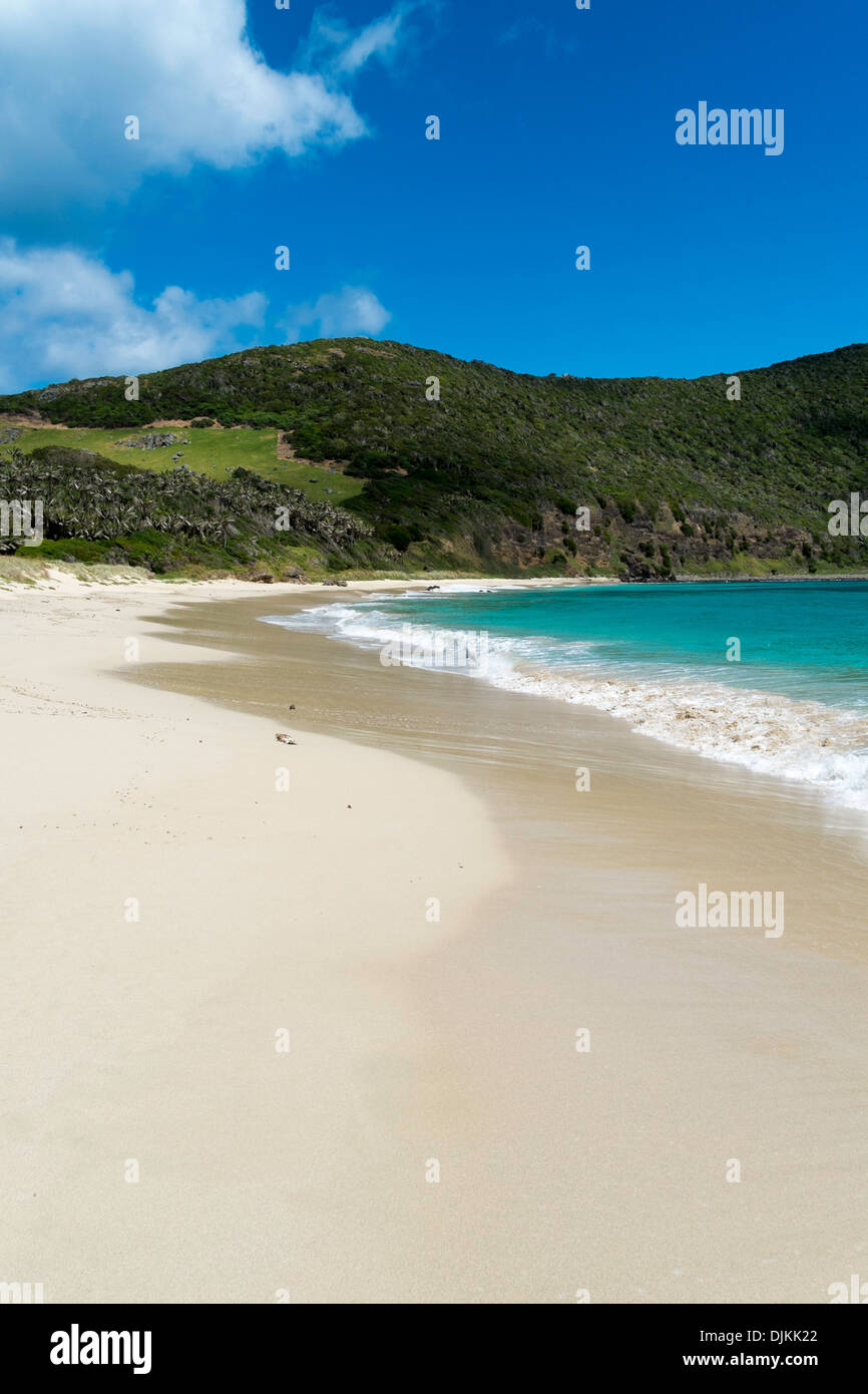 Ned's Beach at Lord Howe Island, Australia Stock Photo - Alamy
