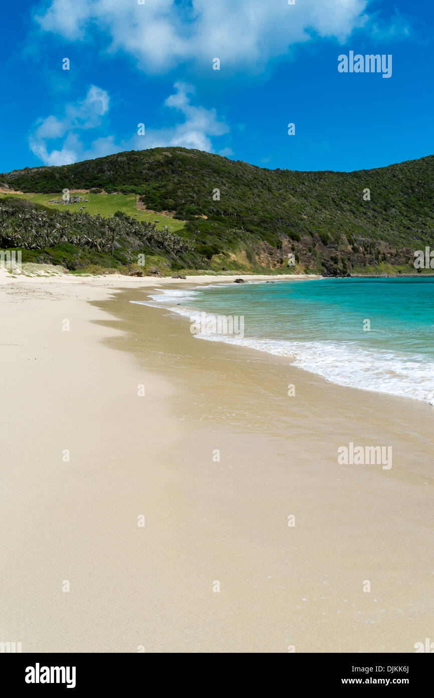 Ned's Beach at Lord Howe Island, Australia Stock Photo - Alamy