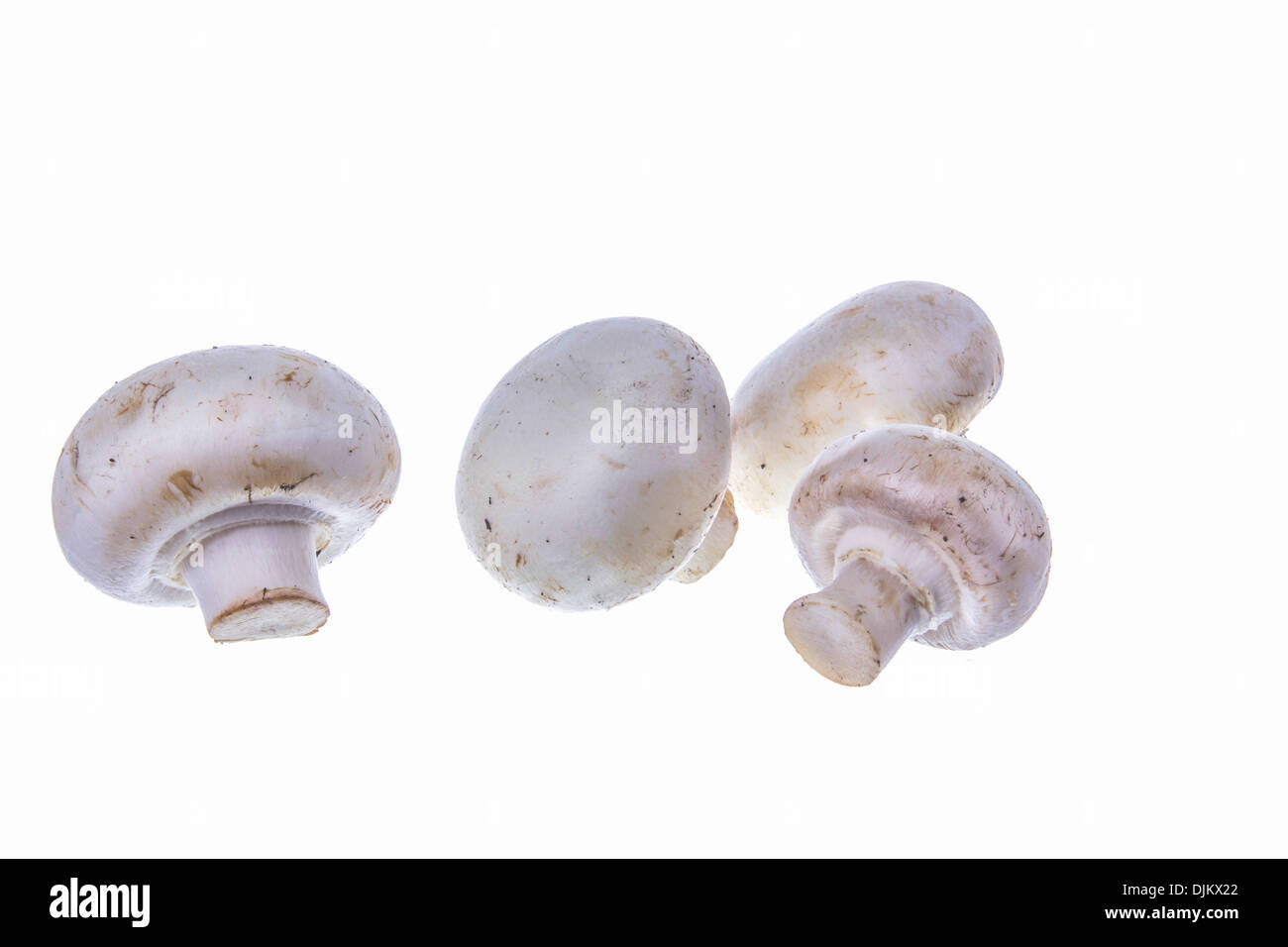 Pizza pieces four hi-res stock photography and images - Alamy