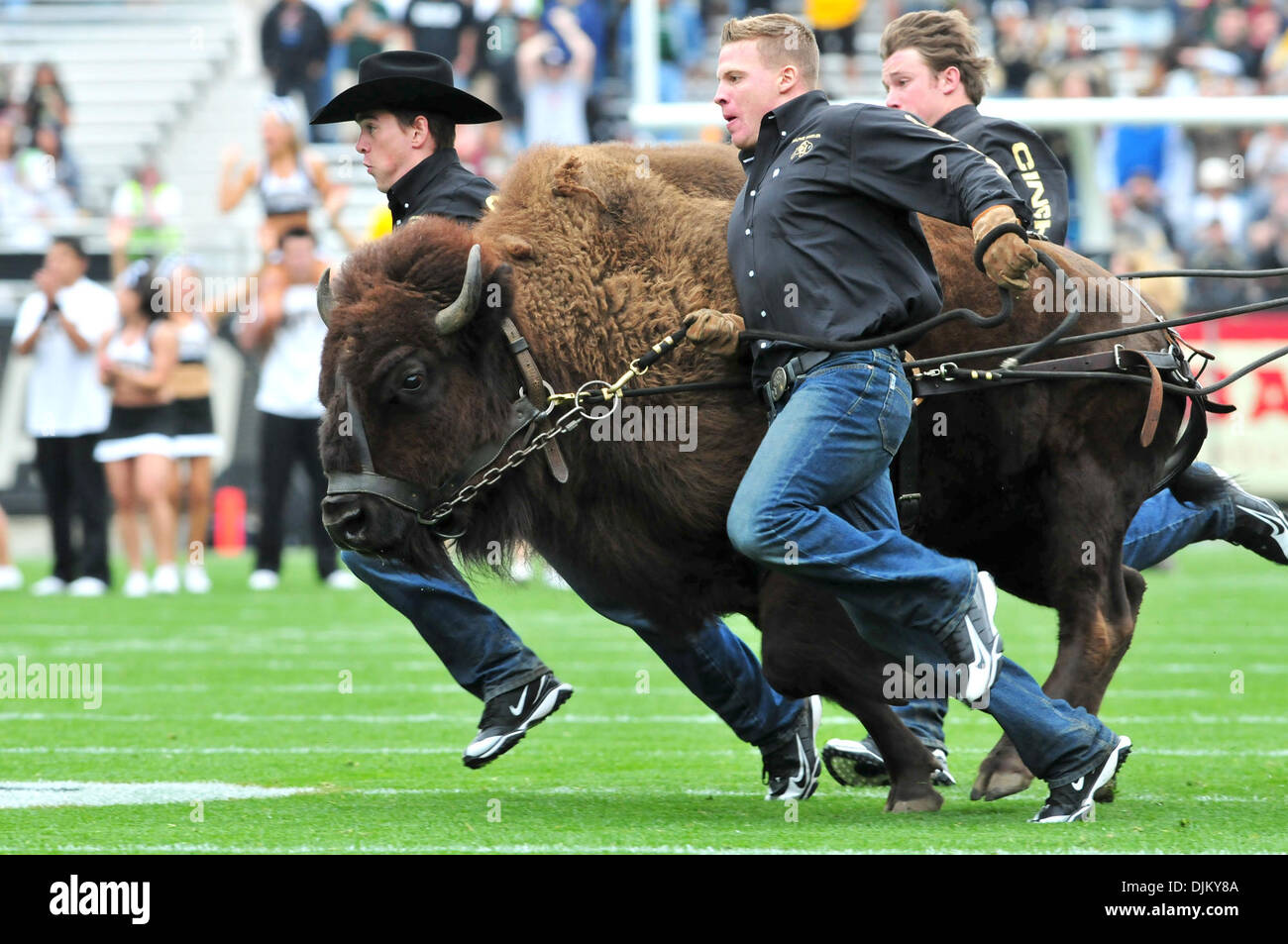 Ralphie hi-res stock photography and images - Alamy