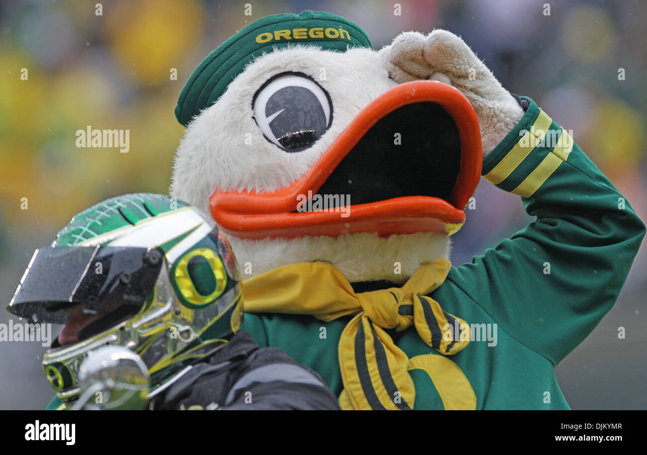 Oregon ducks mascot hi-res stock photography and images - Alamy