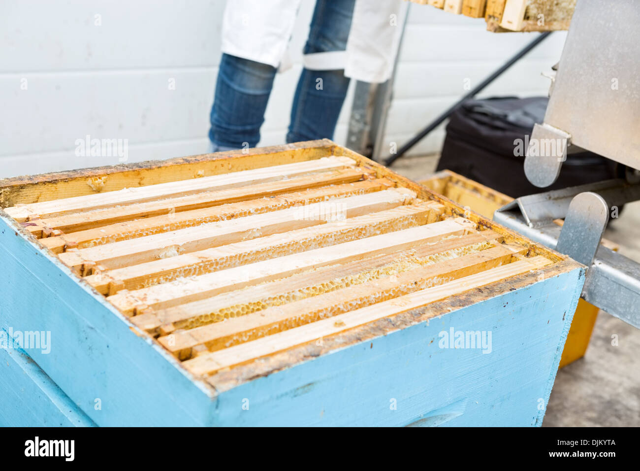 Closeup Of Honeycomb Frames In Apiary Stock Photo - Alamy