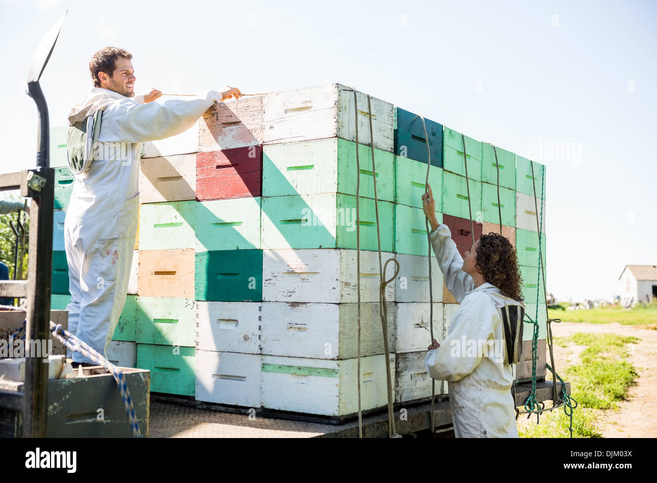 Beekeepers Loading Honeycomb Crates In Truck Stock Photo - Alamy