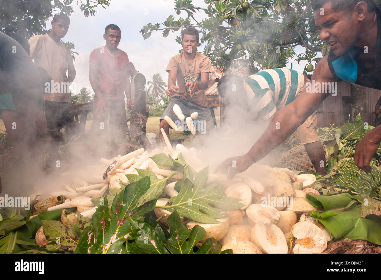 Men throwing vegetables onto a large lovo (earth oven), and covering ...