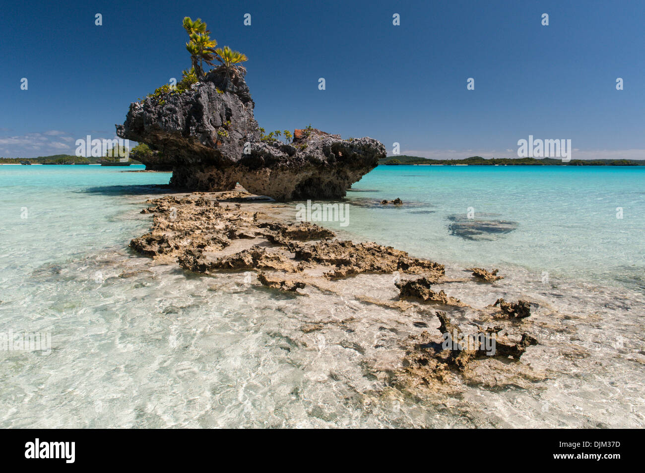 Azure water surrounds the limestone motus, small eroded islets in ...