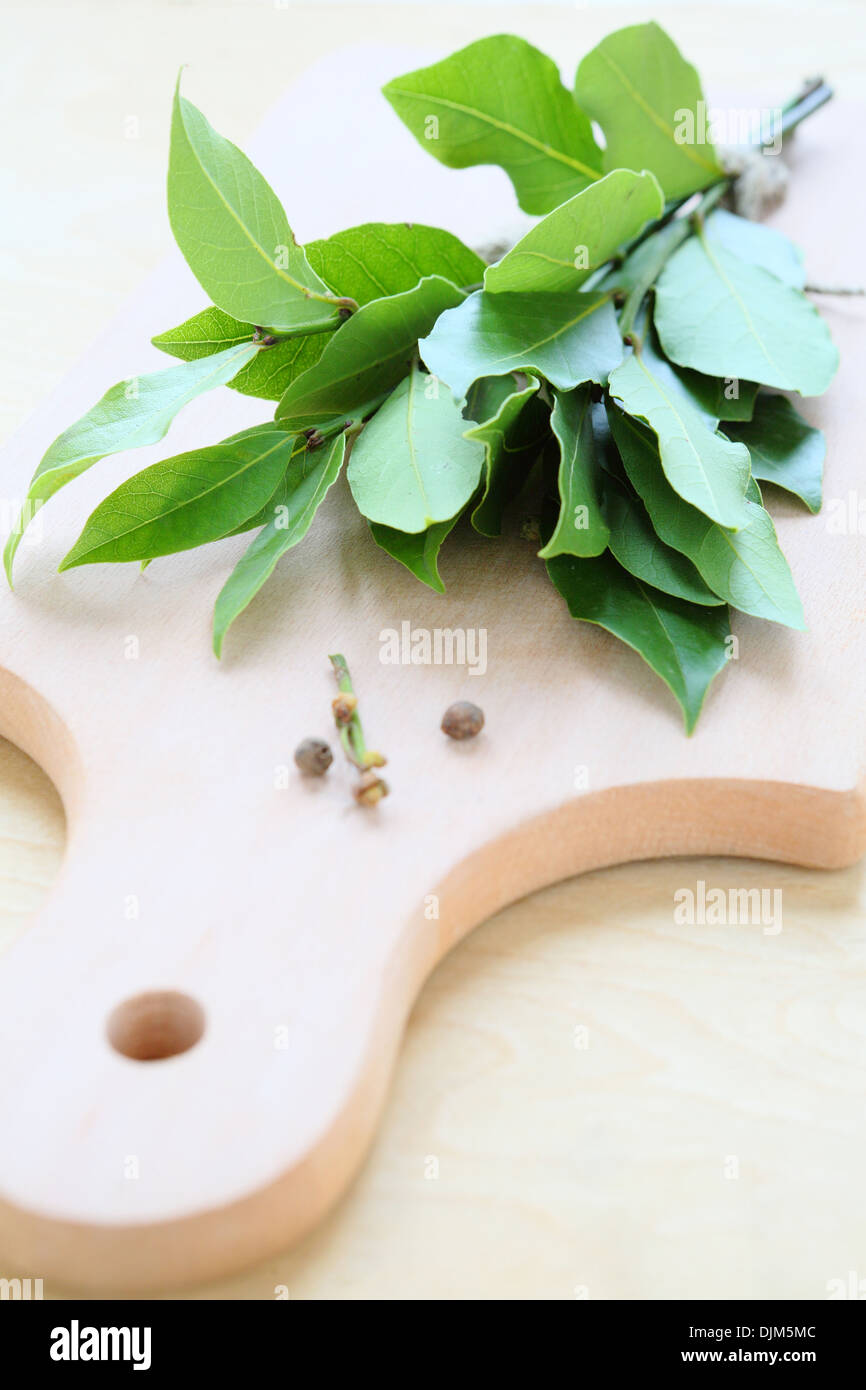 bay leaf on cutting board, food closeup Stock Photo - Alamy
