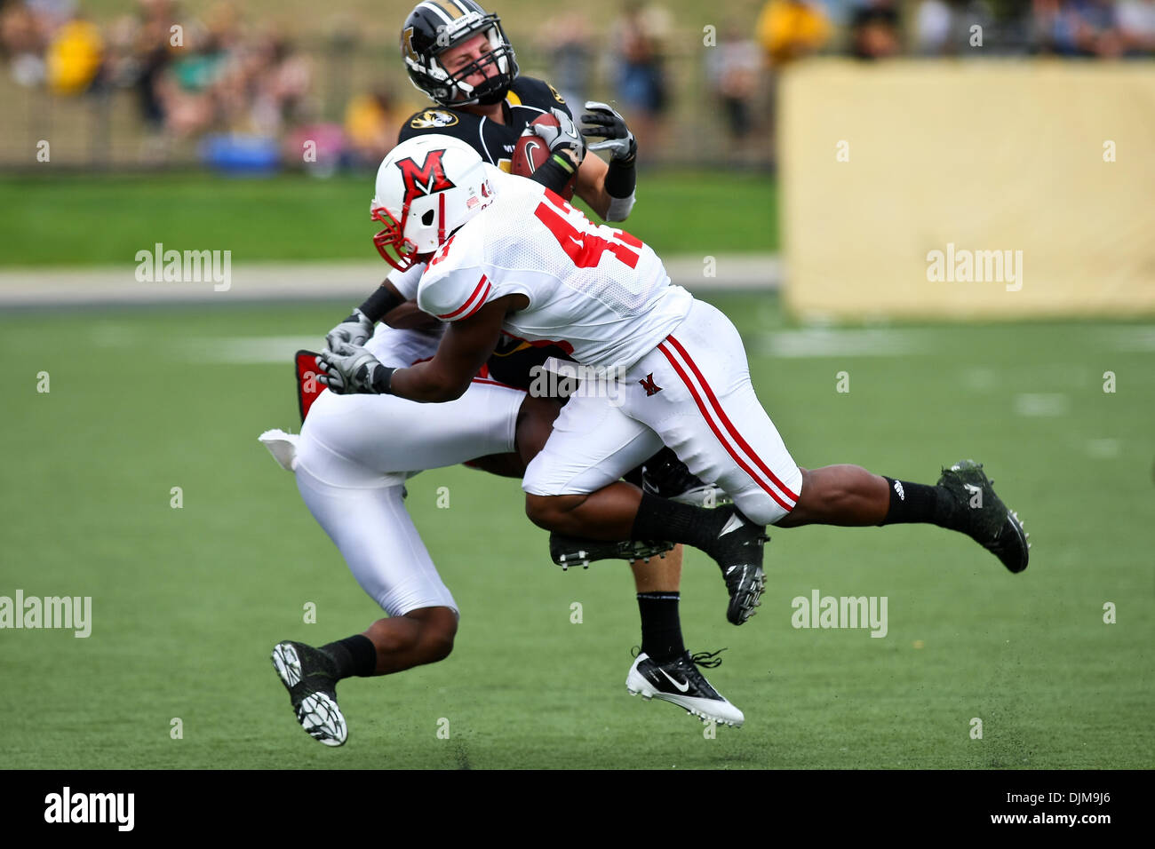 Redhawk hi-res stock photography and images - Alamy