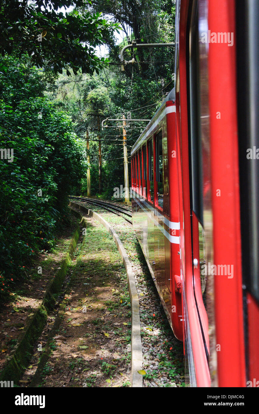 Rio de Janeiro, Brazil: Famous train "Trem do Corcovado" travelling up ...