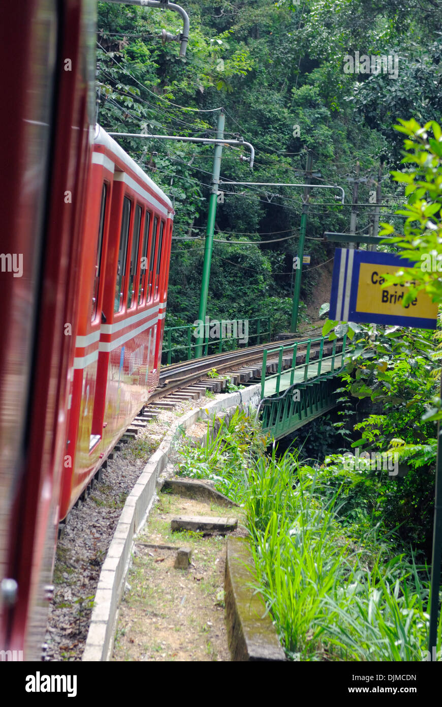 Rio de Janeiro, Brazil: Famous train "Trem do Corcovado" travelling up ...