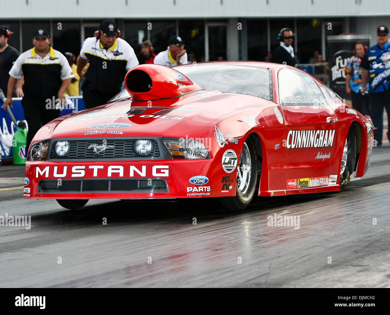 Erica america where hi-res stock photography and images - Alamy