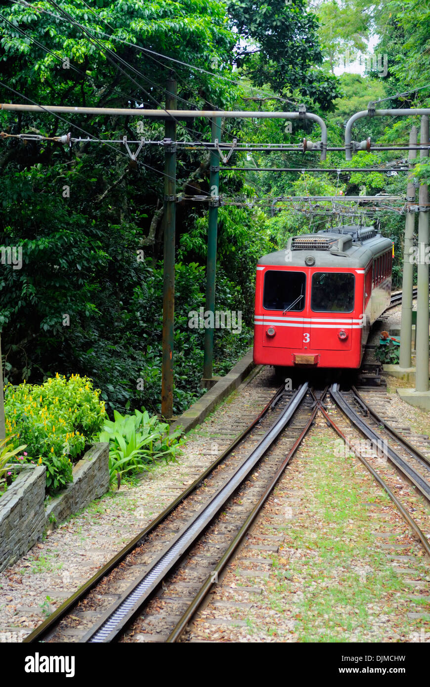 Rio de Janeiro, Brazil: Famous train "Trem do Corcovado" travelling up ...