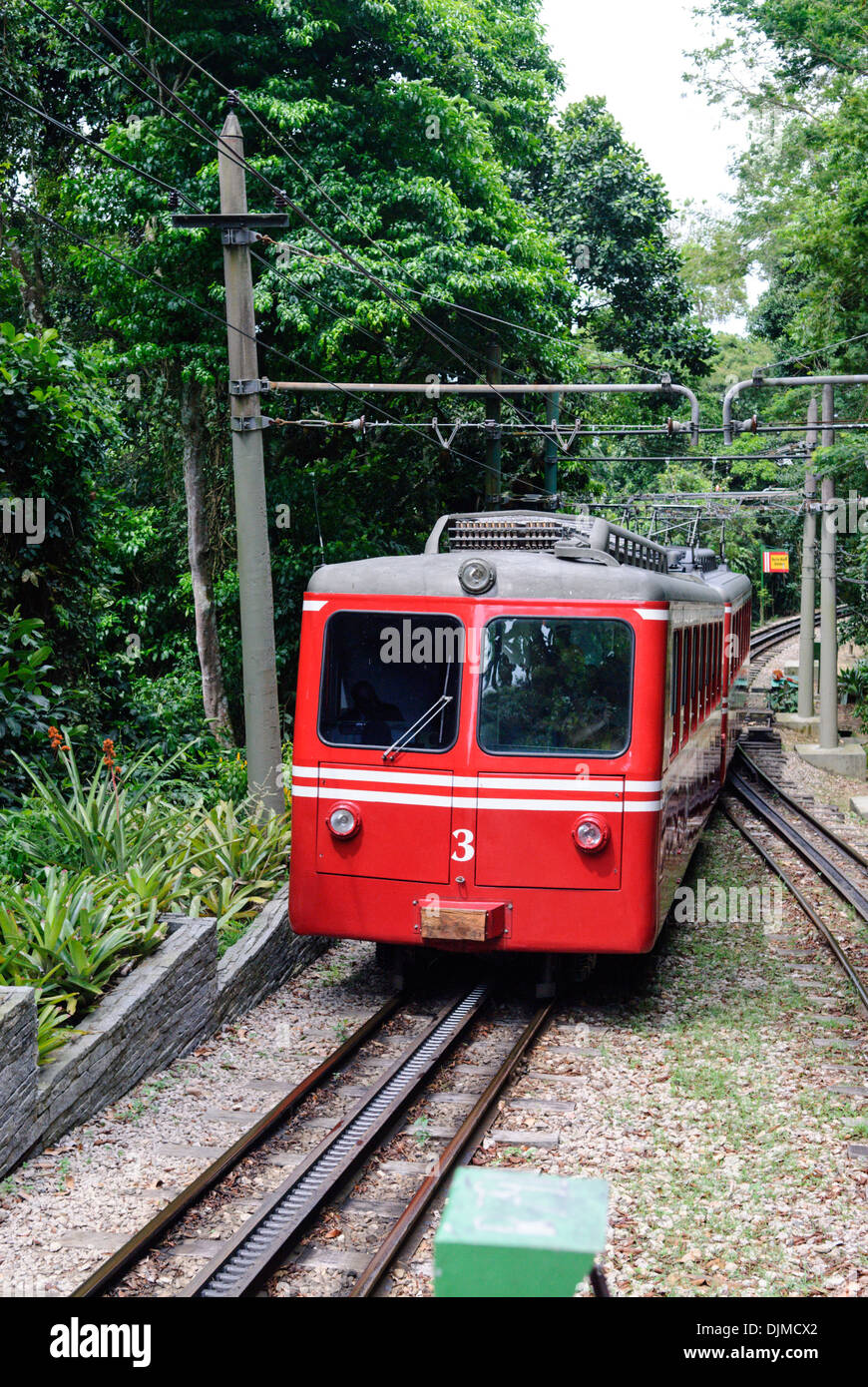 Rio de Janeiro, Brazil: Famous train "Trem do Corcovado" travelling up ...