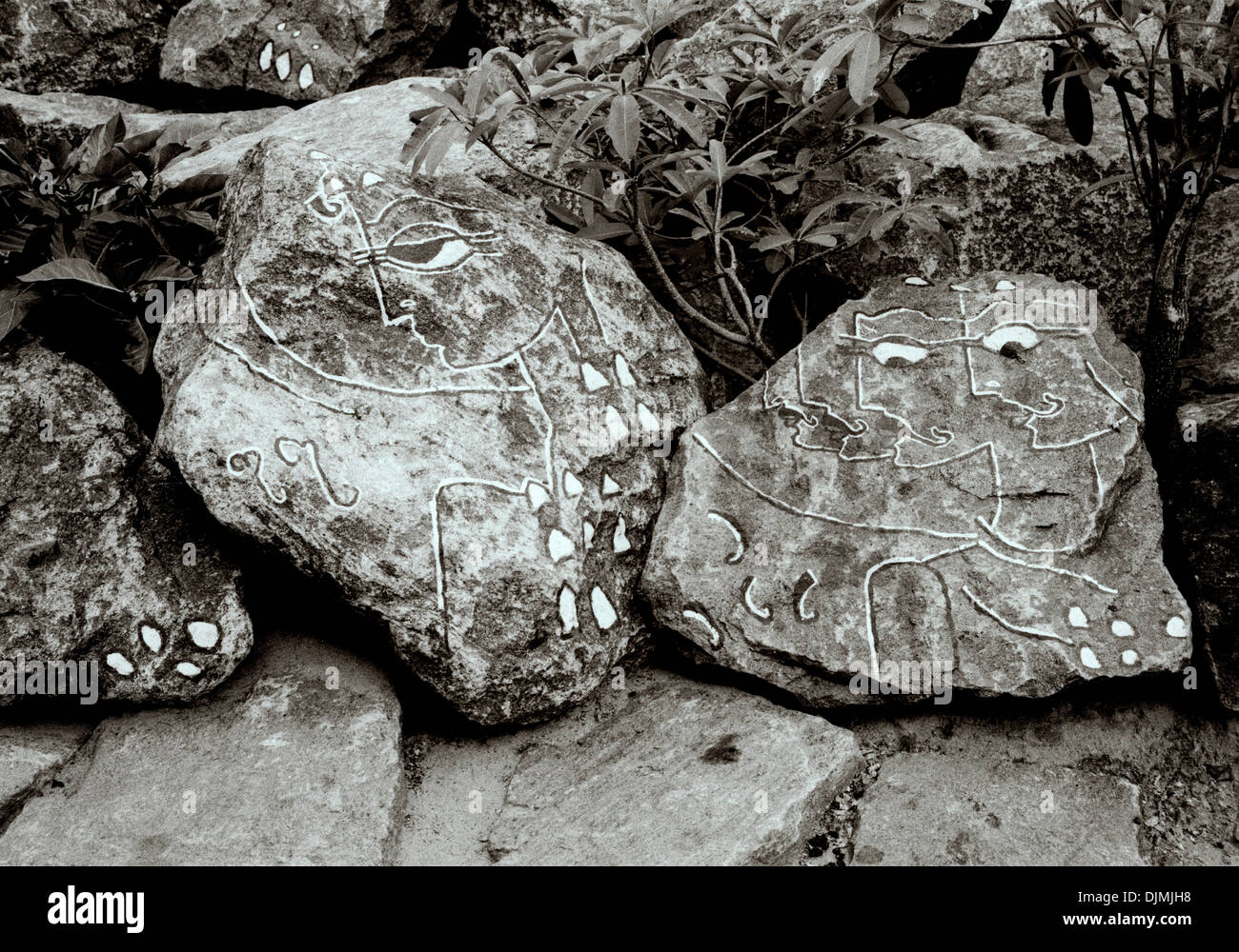 Rock art in Fort Kochi Cochin in Kerala in India in South Asia ...
