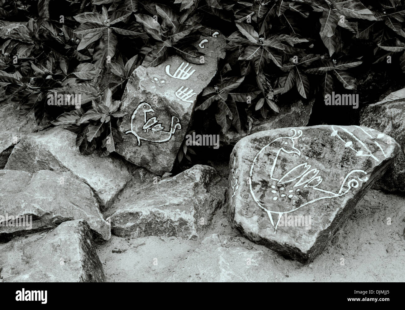 Rock art in Fort Kochi Cochin in Kerala in India in South Asia ...