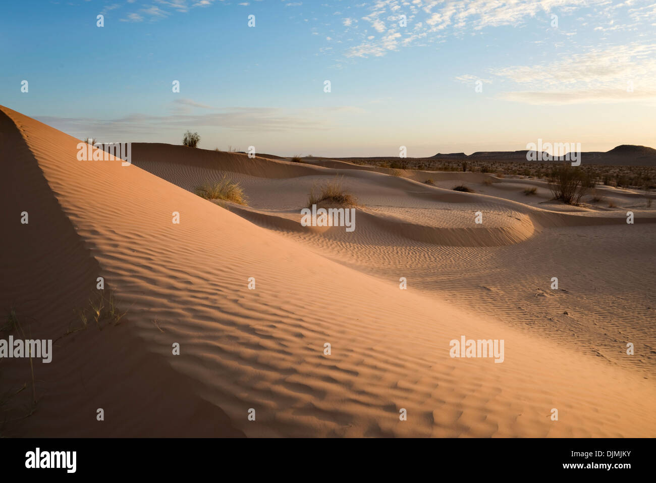 Sand dunes of the Great Oriental Erg of the desert of Sahara - Tunisia ...