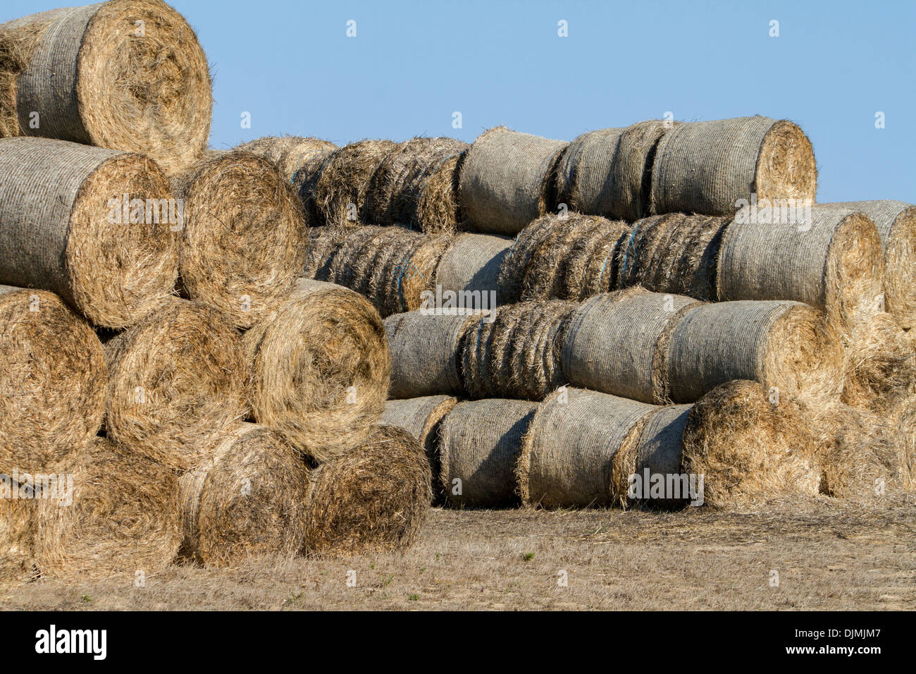 View of a stack of hay bales on the countryside Stock Photo - Alamy