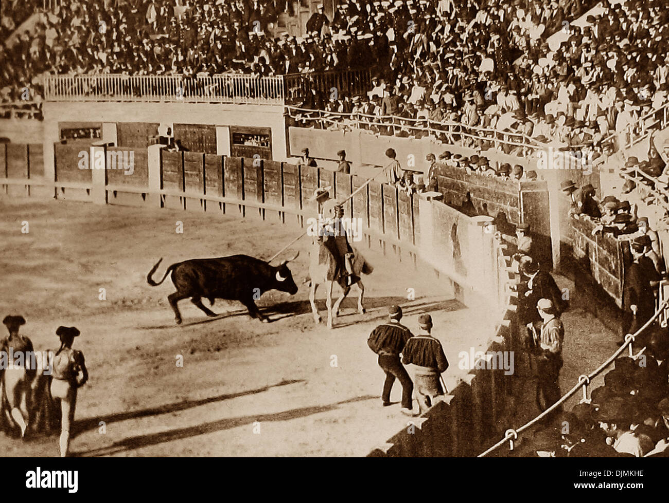 Bullfight Spain High Resolution Stock Photography and Images - Alamy