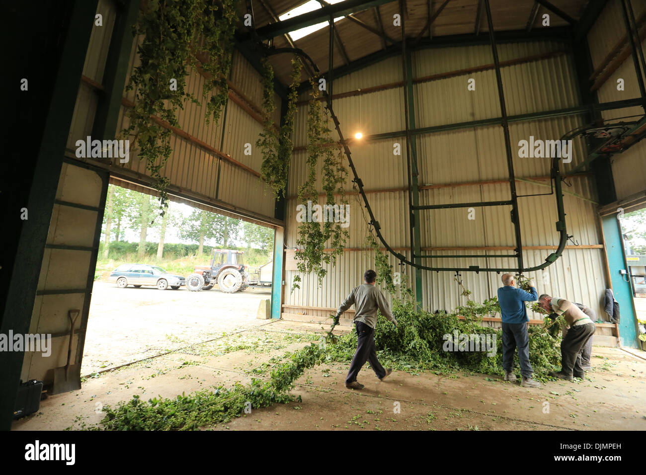 The giant bruff hop picking machine hi-res stock photography and images ...