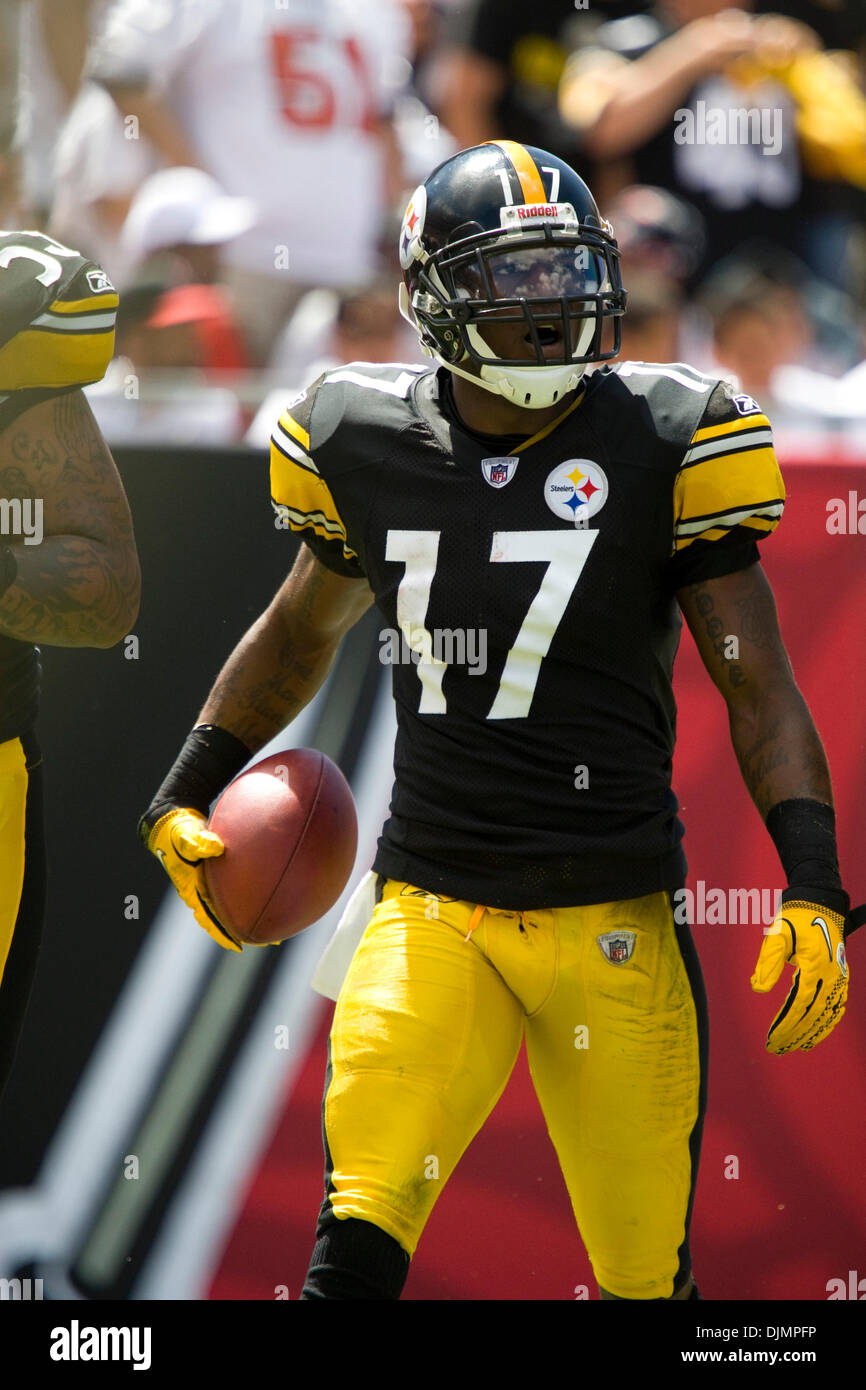 Pittsburgh steelers mike wallace after hi-res stock photography and ...
