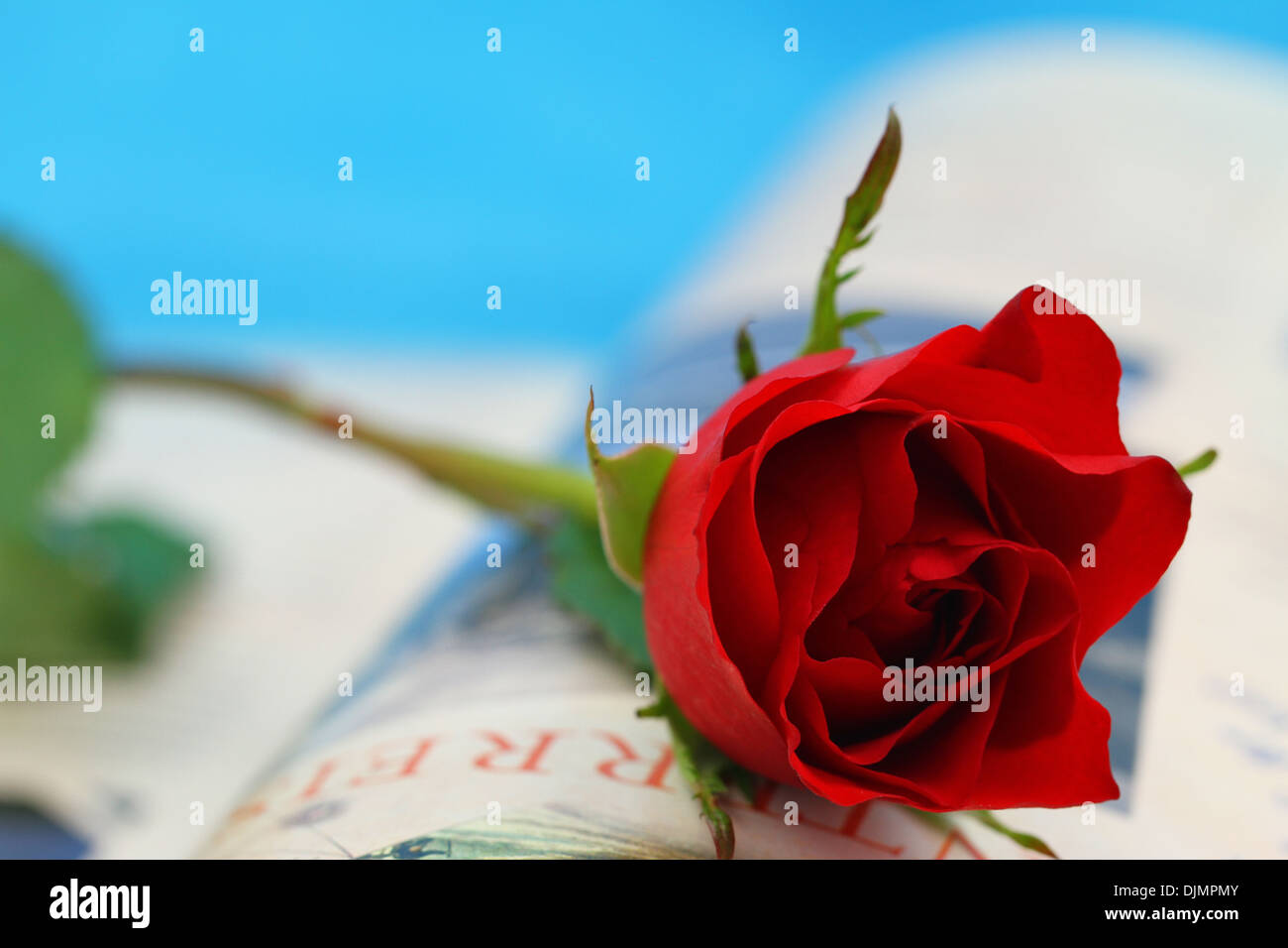 Open book blue background hi-res stock photography and images - Alamy