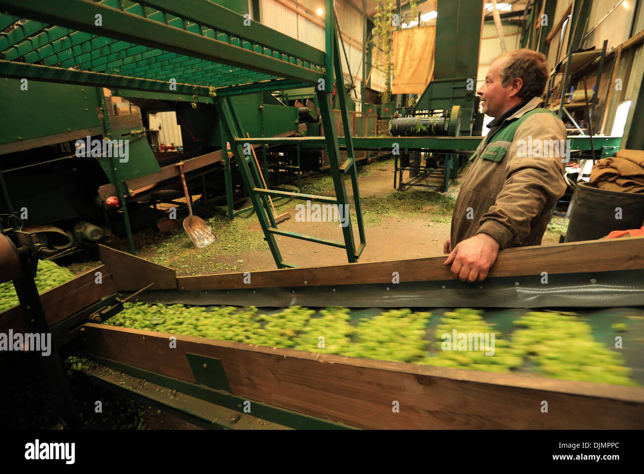 Hop Picking Machine Stock Photos & Hop Picking Machine Stock Images - Alamy