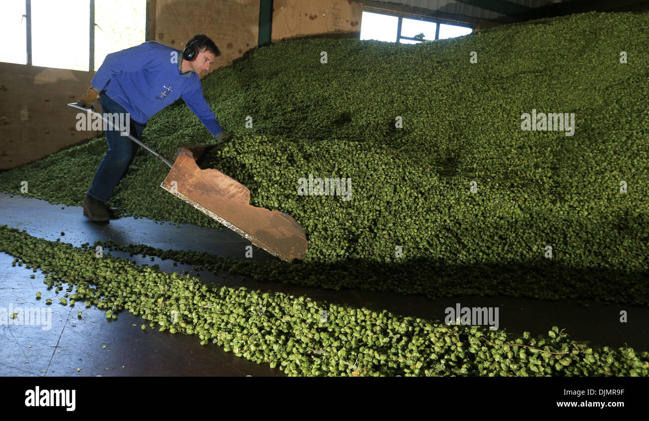 The giant bruff hop picking machine hi-res stock photography and images ...
