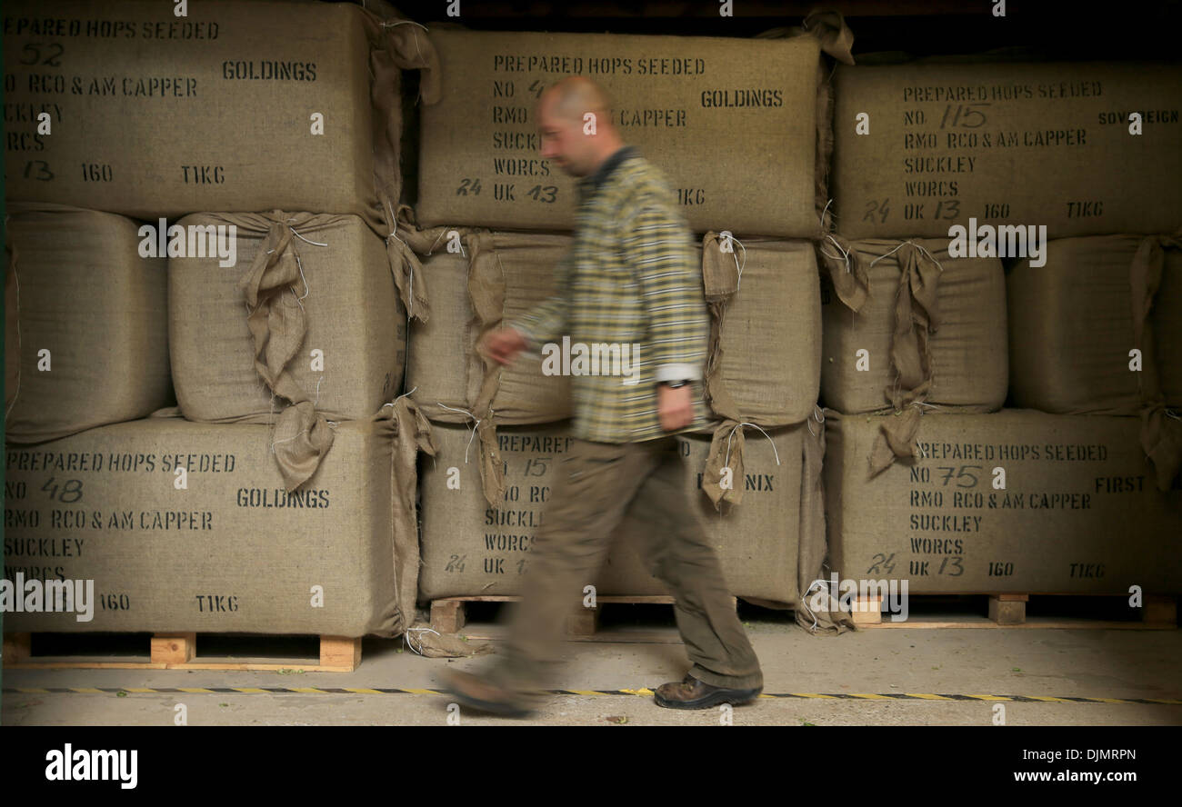 The giant bruff hop picking machine hi-res stock photography and images ...