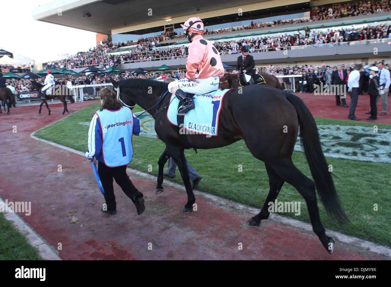 Jockey Luke Nolen Black Caviar stormed into record books and ensured an ...