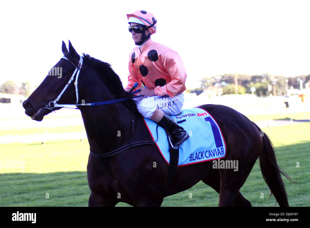 Jockey Luke Nolen Black Caviar stormed into record books and ensured an ...