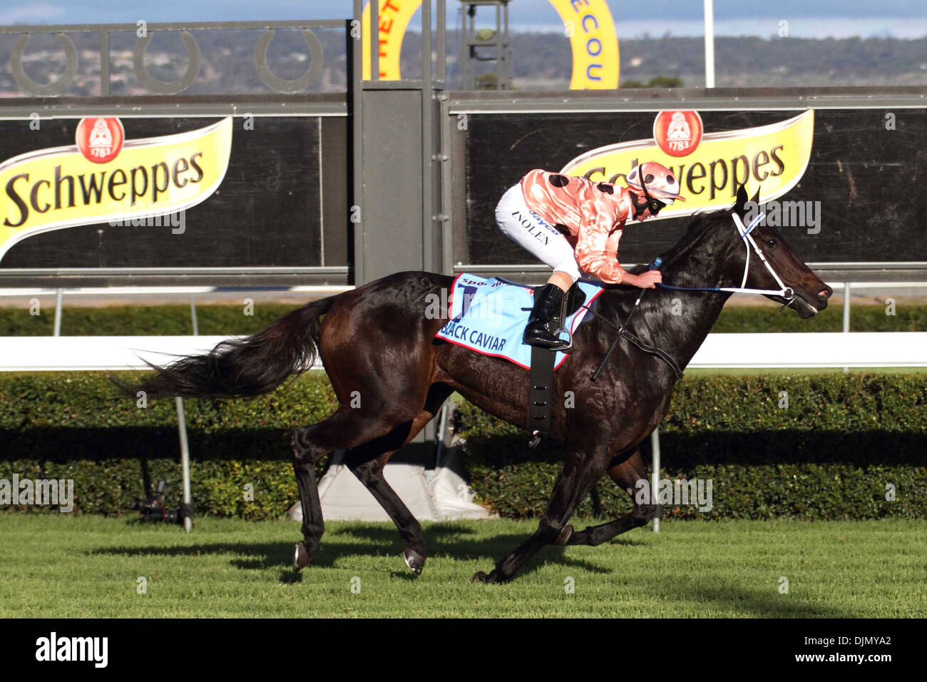 Jockey Luke Nolen Black Caviar stormed into record books and ensured an ...