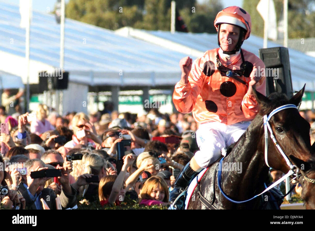 Jockey Luke Nolen Black Caviar stormed into record books and ensured an ...
