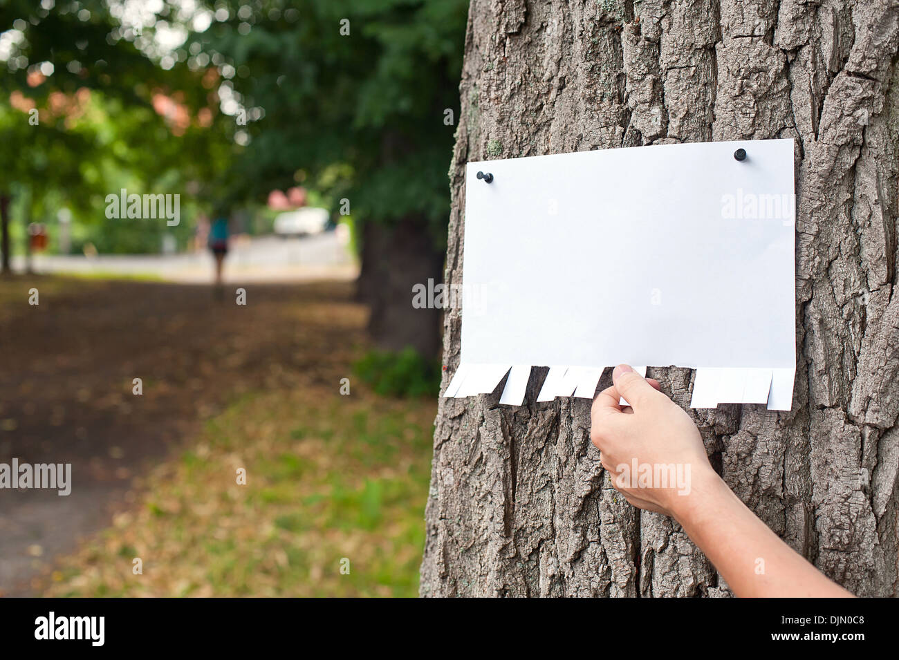 Tree sheet drawing hi-res stock photography and images - Alamy