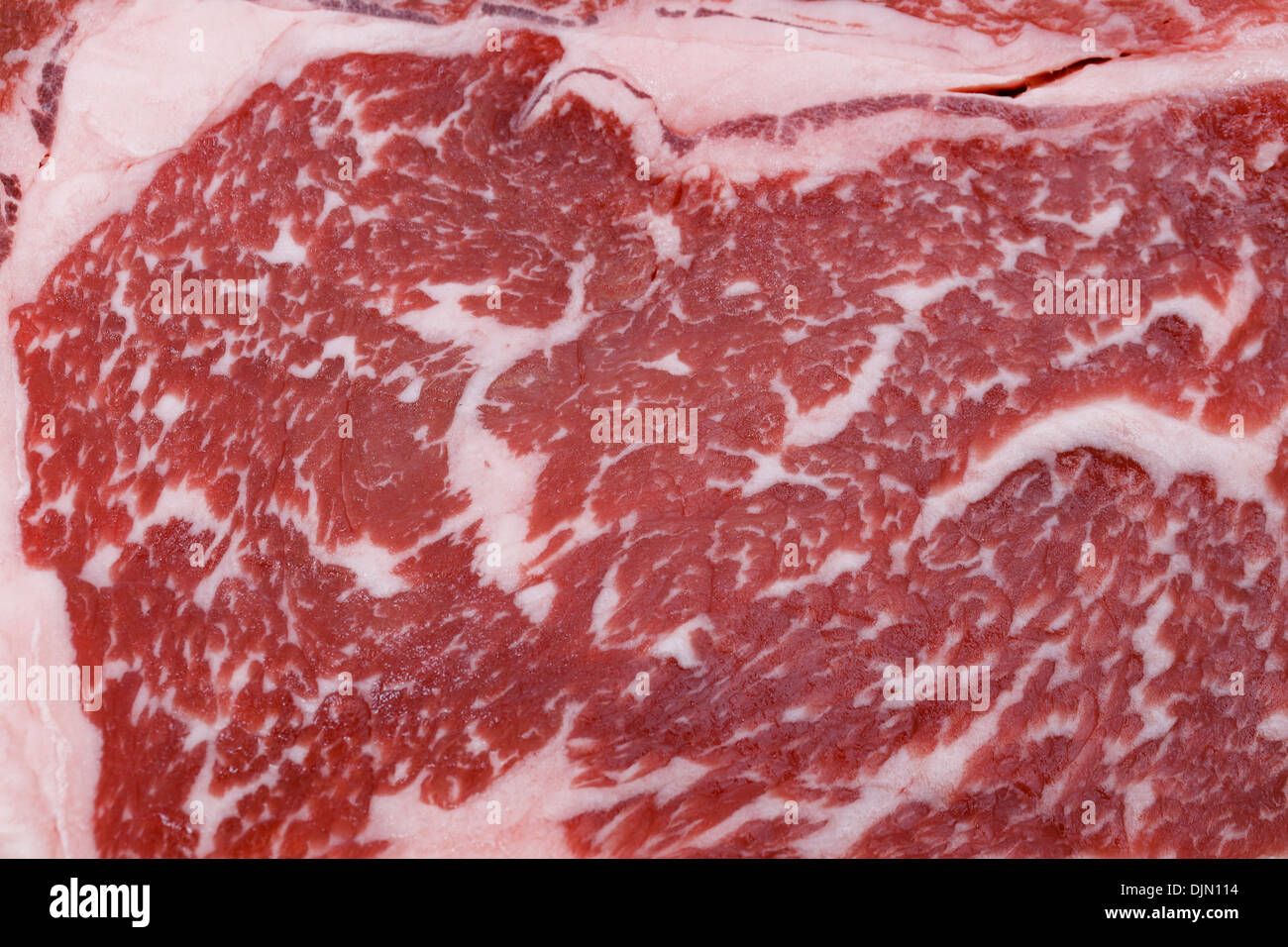 Wagyu cattle hi-res stock photography and images - Alamy