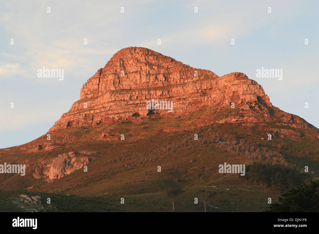 Sunrise with lions hi-res stock photography and images - Alamy