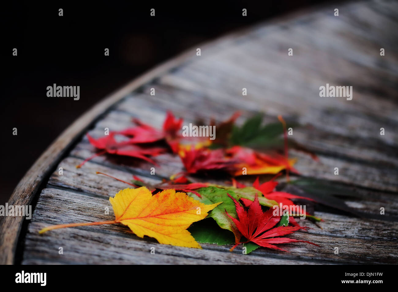 Maple bench hi-res stock photography and images - Alamy