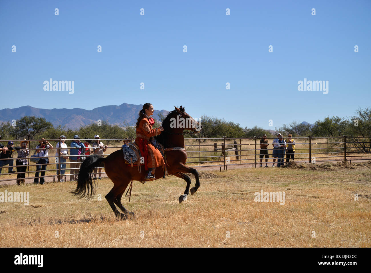 The Roundup & Open House, a celebration of the cowboy, at the Empire ...