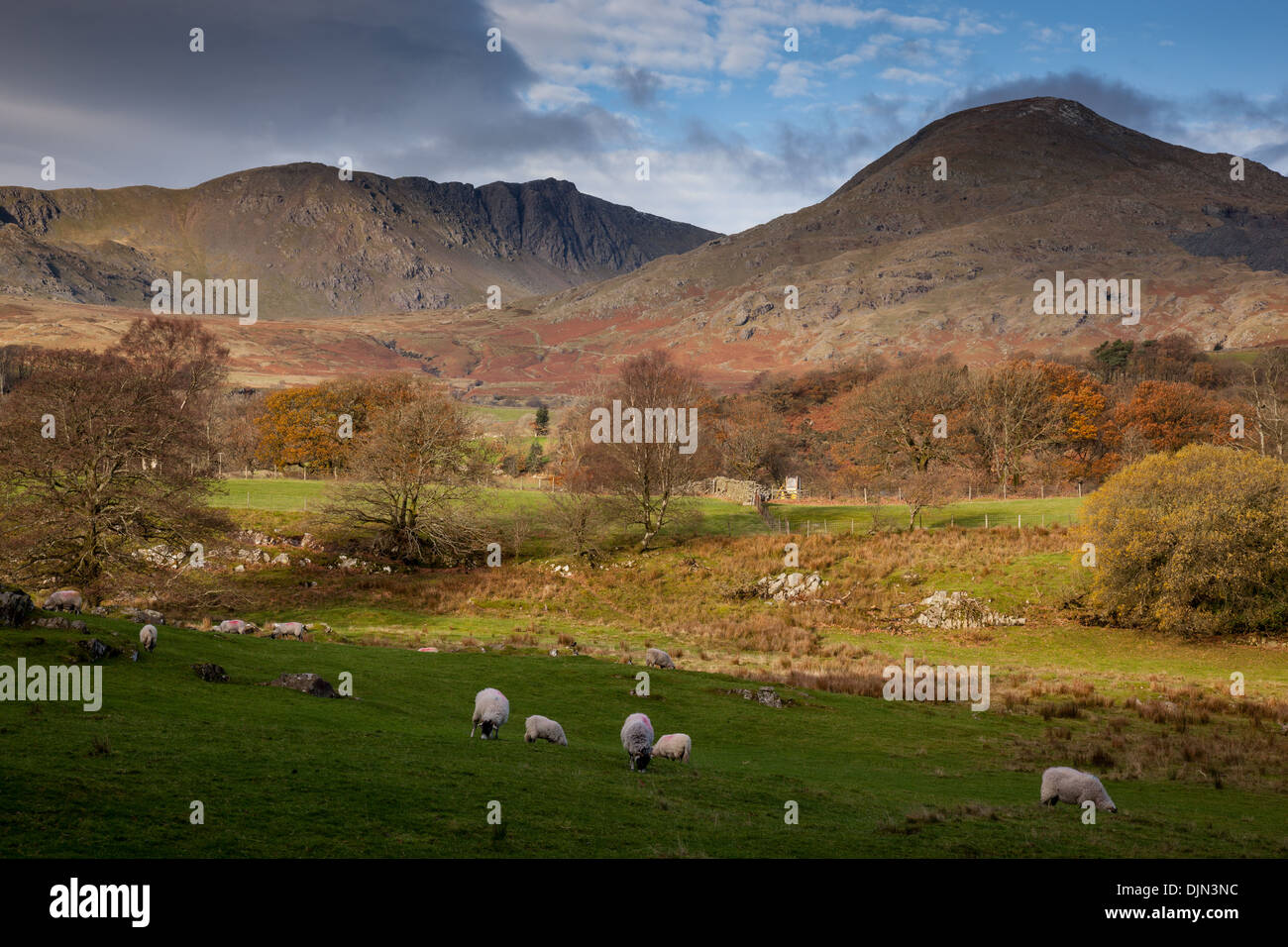 Torver common lake district hi-res stock photography and images - Alamy