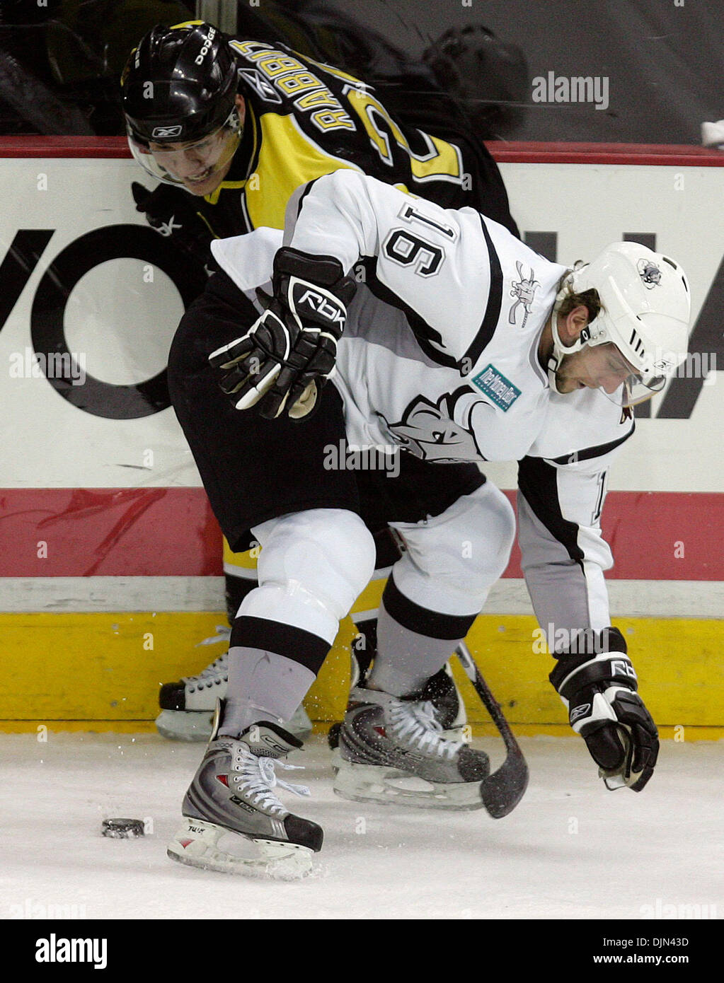 Seattle rabbit hi-res stock photography and images - Alamy