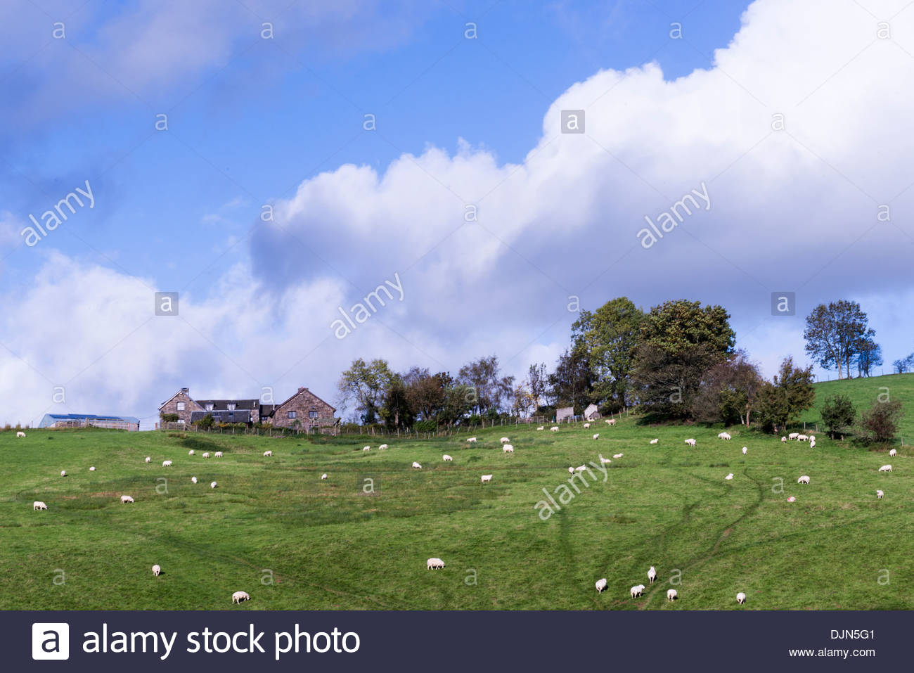 Welsh Hill Farm Stock Photos & Welsh Hill Farm Stock Images - Alamy