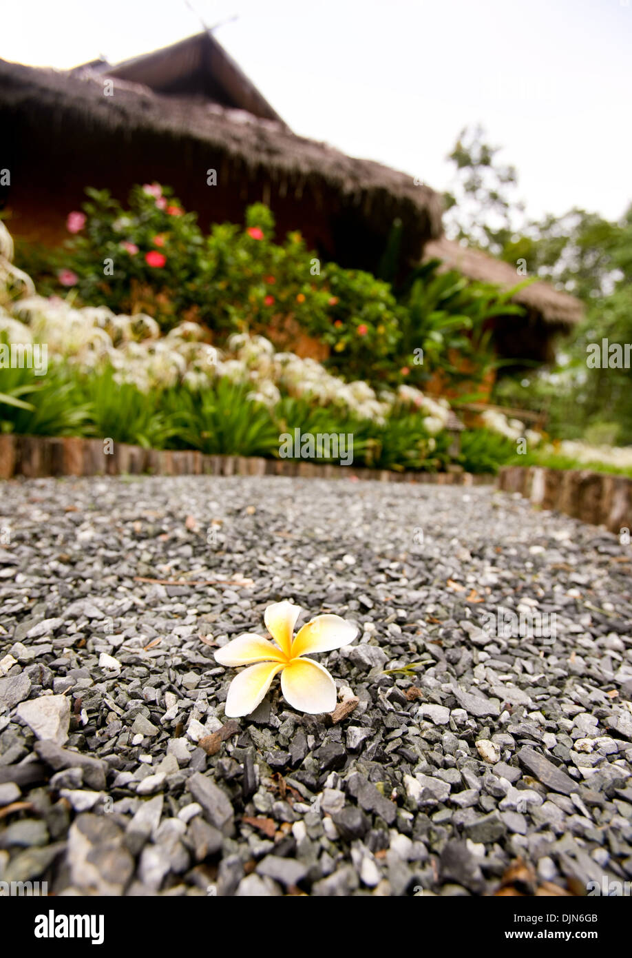 Bungalow hi res hi-res stock photography and images - Alamy