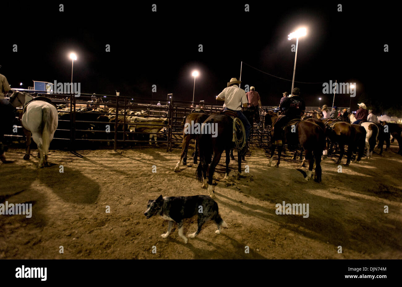 Female rodeo performers hi-res stock photography and images - Alamy